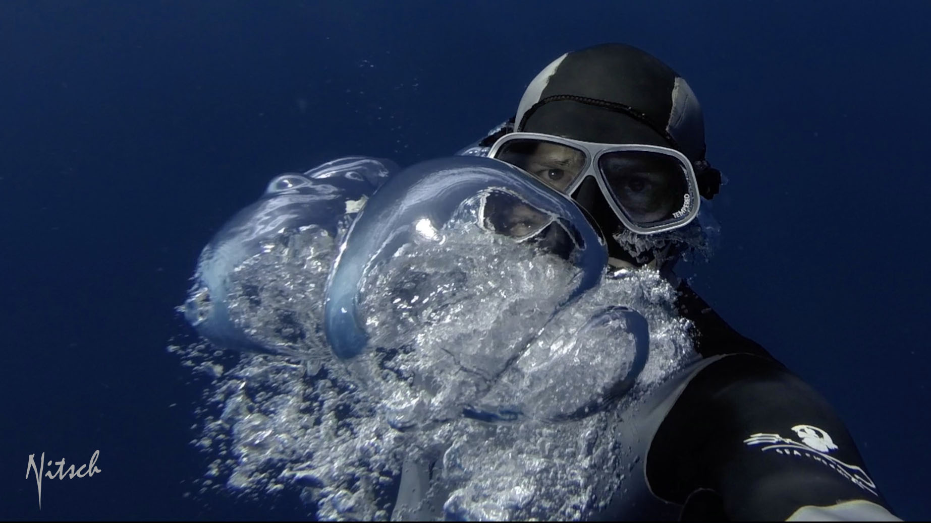 WORDCHAMPS – Freediver Herbert Nitsch im Interview